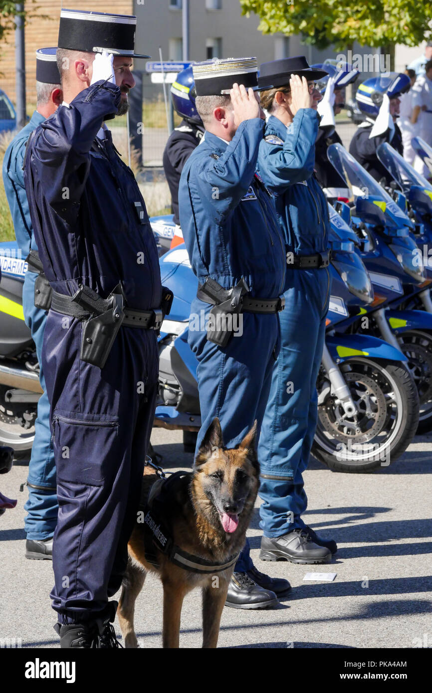 Maitres chien hi-res stock photography and images - Alamy