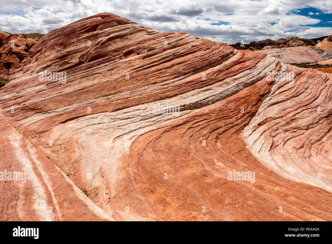 The Fire Wave is formed when layers of colorful sandstone in red, white ...