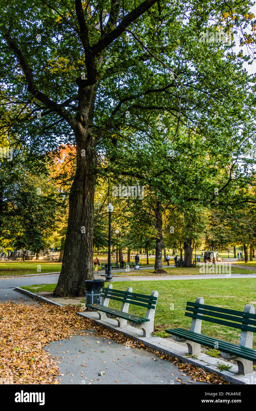 Boston Common Boston, Massachusetts, USA Stock Photo - Alamy