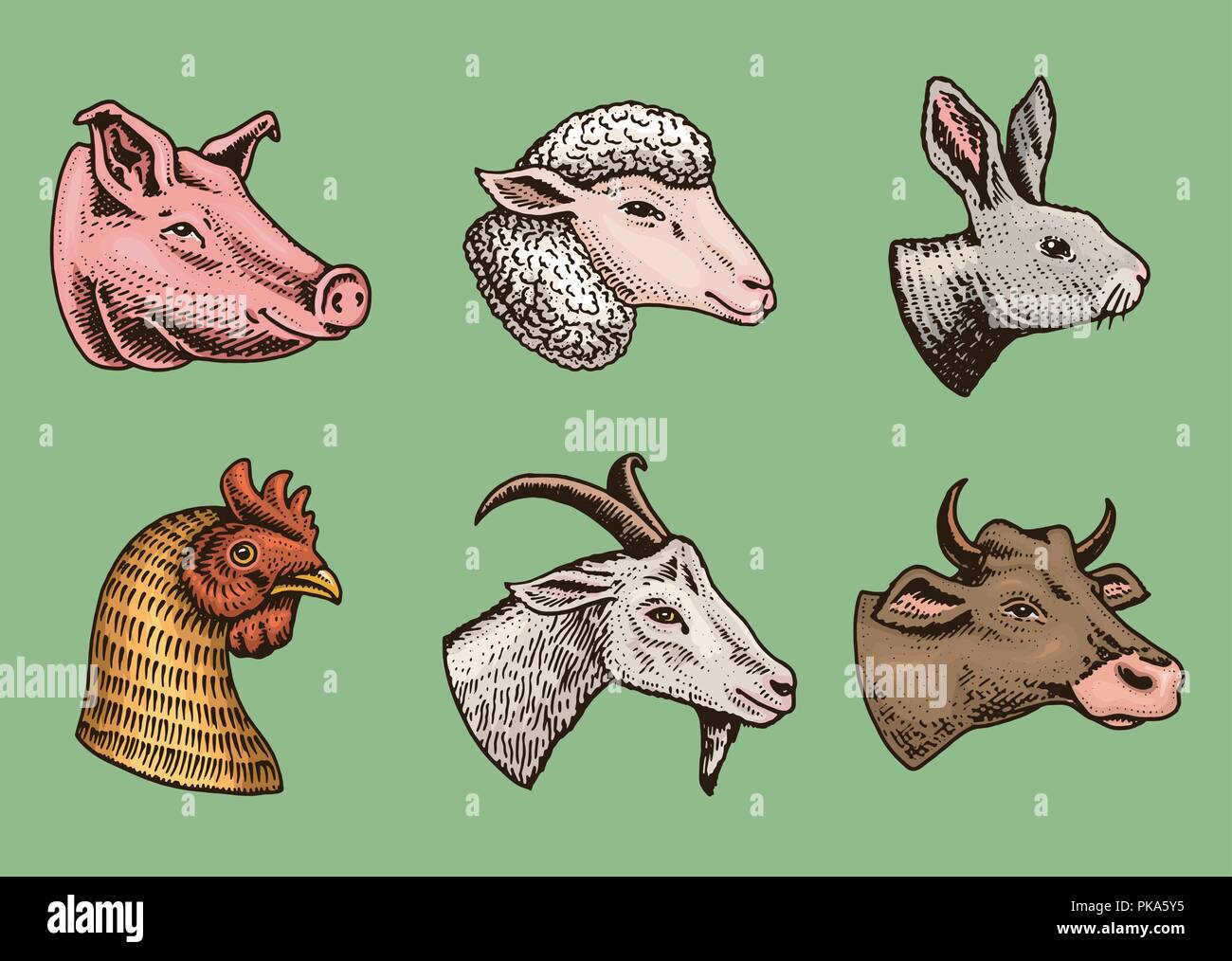 Farm animals chicken pig hi-res stock photography and images - Alamy