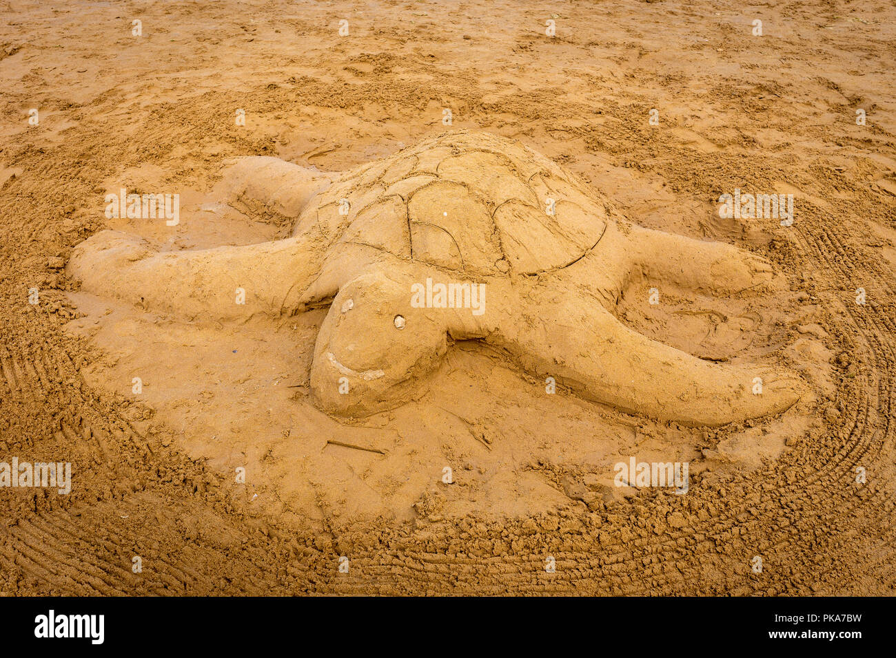 Sea turtle sculpture hi-res stock photography and images - Alamy