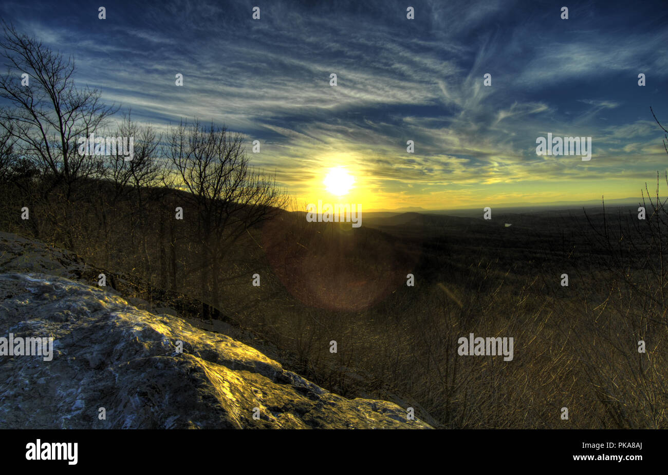 View out through the deciduous forest from Appalachian Trail and Bears ...