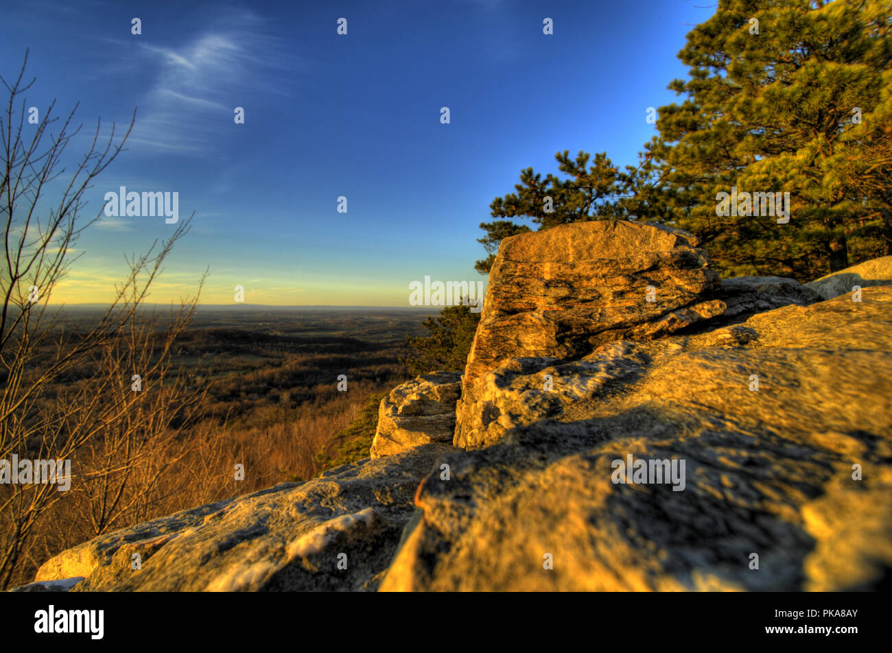 View out through the deciduous forest from Appalachian Trail and Bears ...