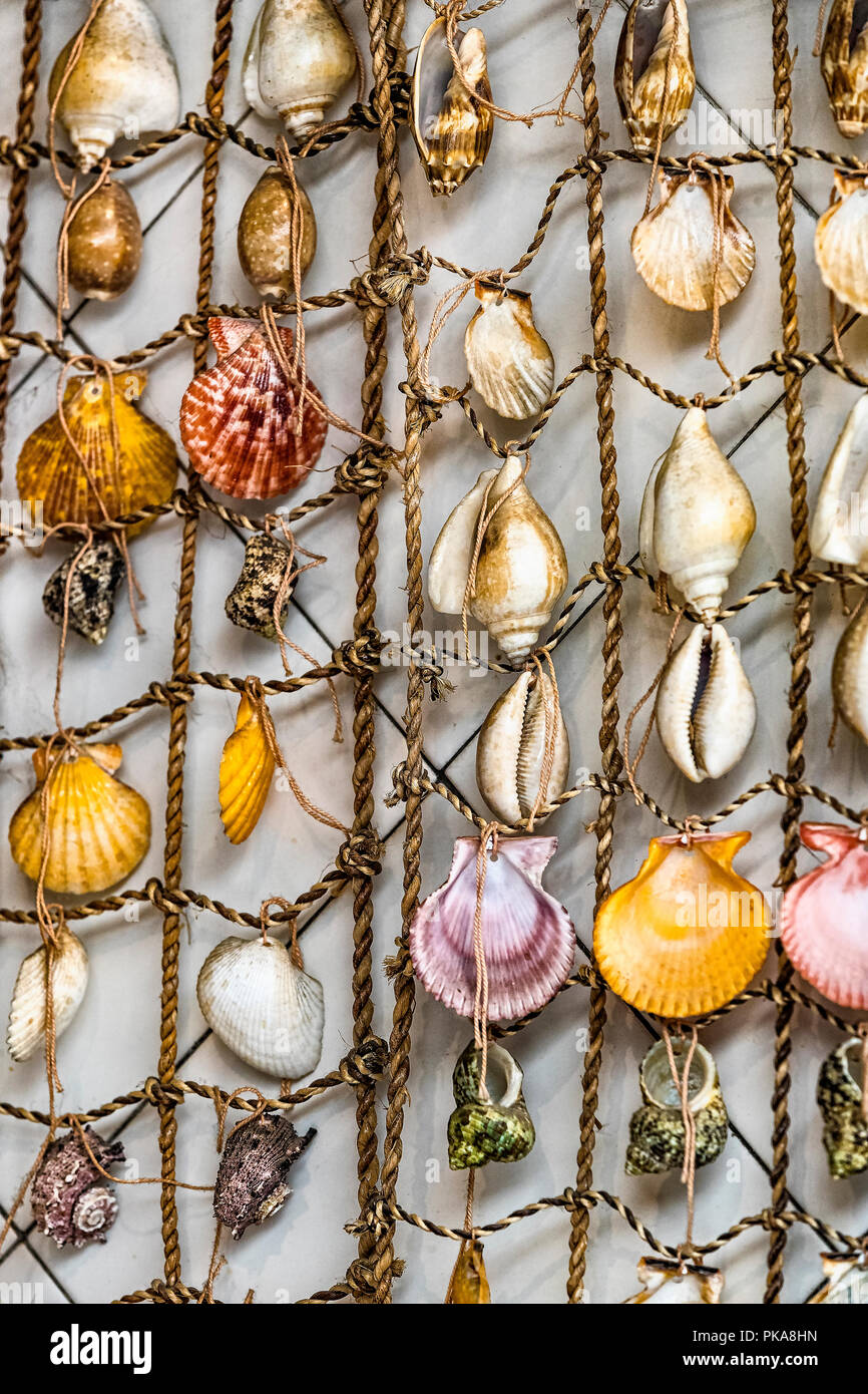Background from the rope-bound sea shells close-up Stock Photo - Alamy