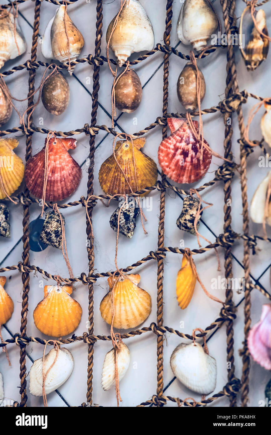 Background from the rope-bound sea shells close-up Stock Photo - Alamy