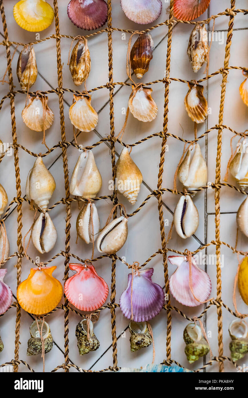 Background from the rope-bound sea shells close-up Stock Photo - Alamy