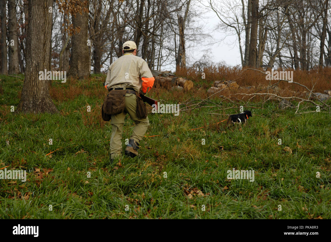 Loudoun wildlife hi-res stock photography and images - Alamy