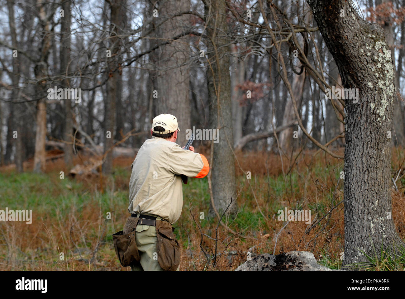 Loudoun wildlife hi-res stock photography and images - Alamy