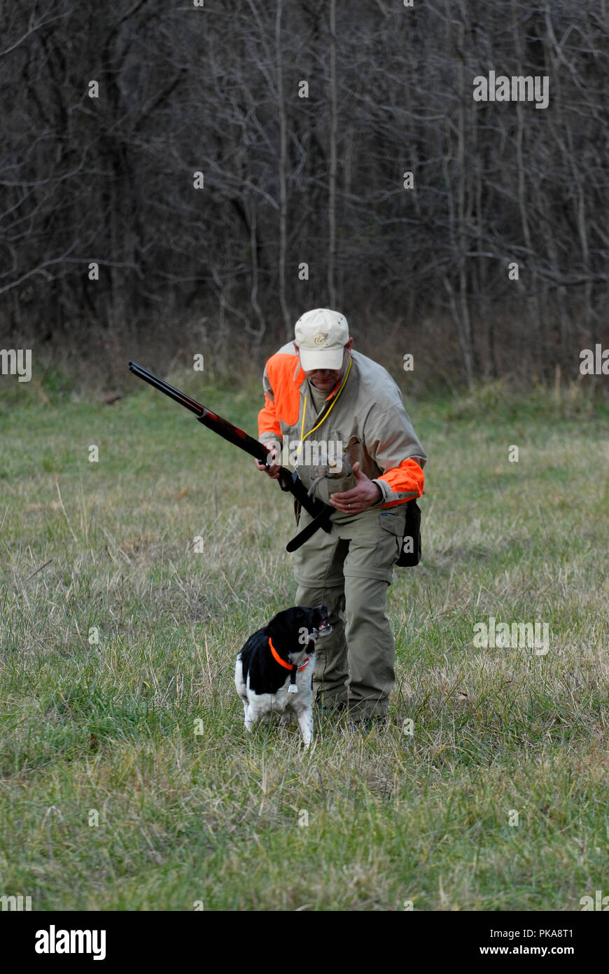 Upland bird hunting in Northern Virginia is a dieing art as development ...