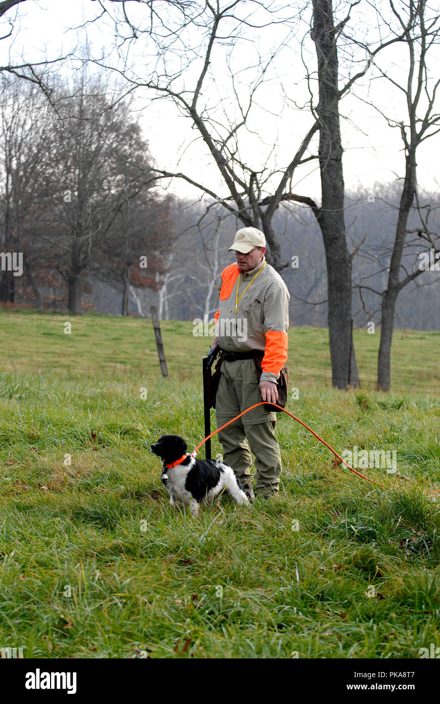 Upland bird hunting in Northern Virginia is a dieing art as development ...