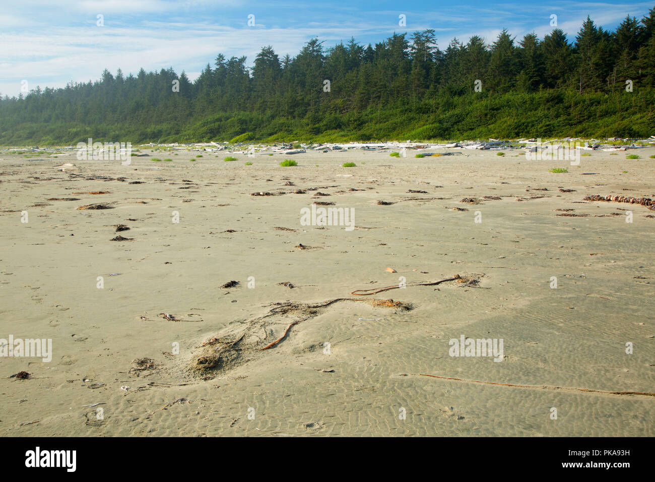 Pacific rim national park hi-res stock photography and images - Alamy