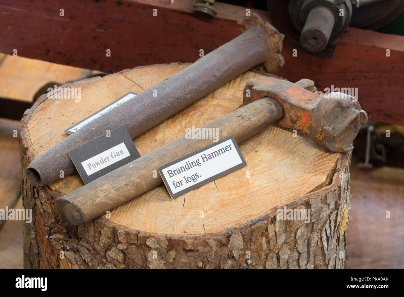 Branding hammer, Waldport Heritage Museum, Waldport, Oregon Stock Photo ...
