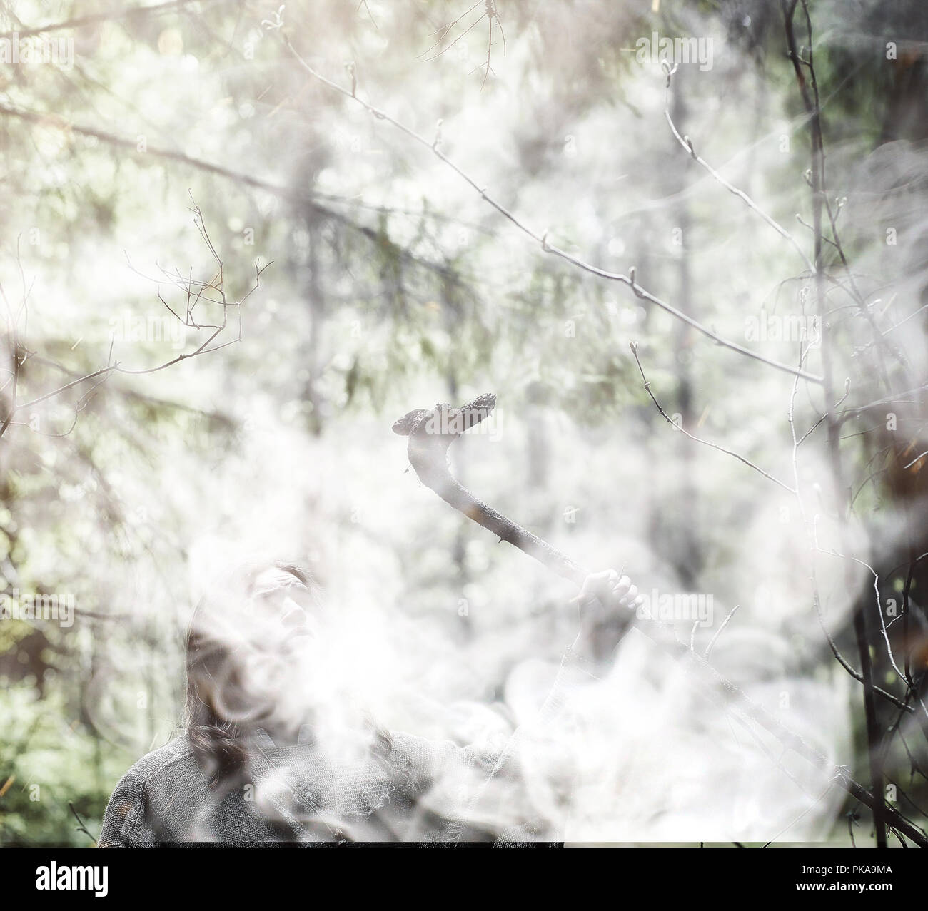 Fairy magician. A sorcerer with a glass sphere, a magical spell Stock ...