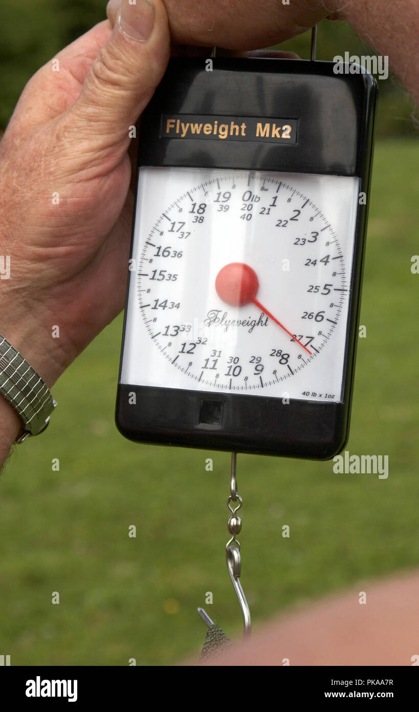 Reuben Heaton MK2 Flyweight Fishing Scale Stock Photo - Alamy