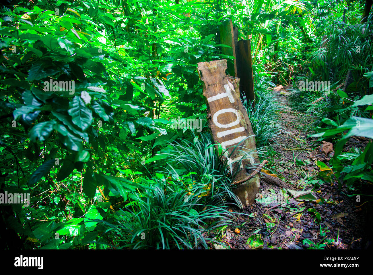 Toilet Sign in the forest of the Bali island, Indonesia. Bali is an ...