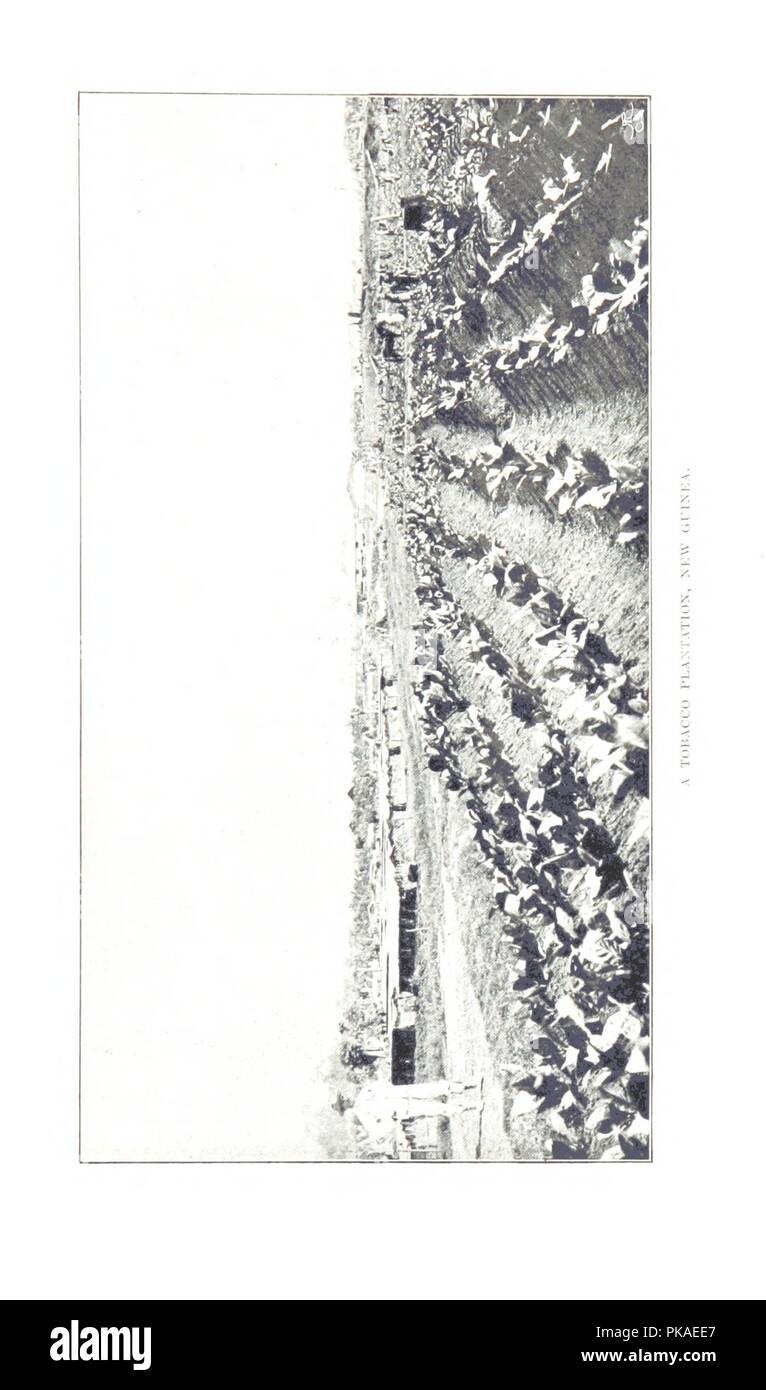 Image from page 55 of 'Through New Guinea and the Cannibal Countries ...