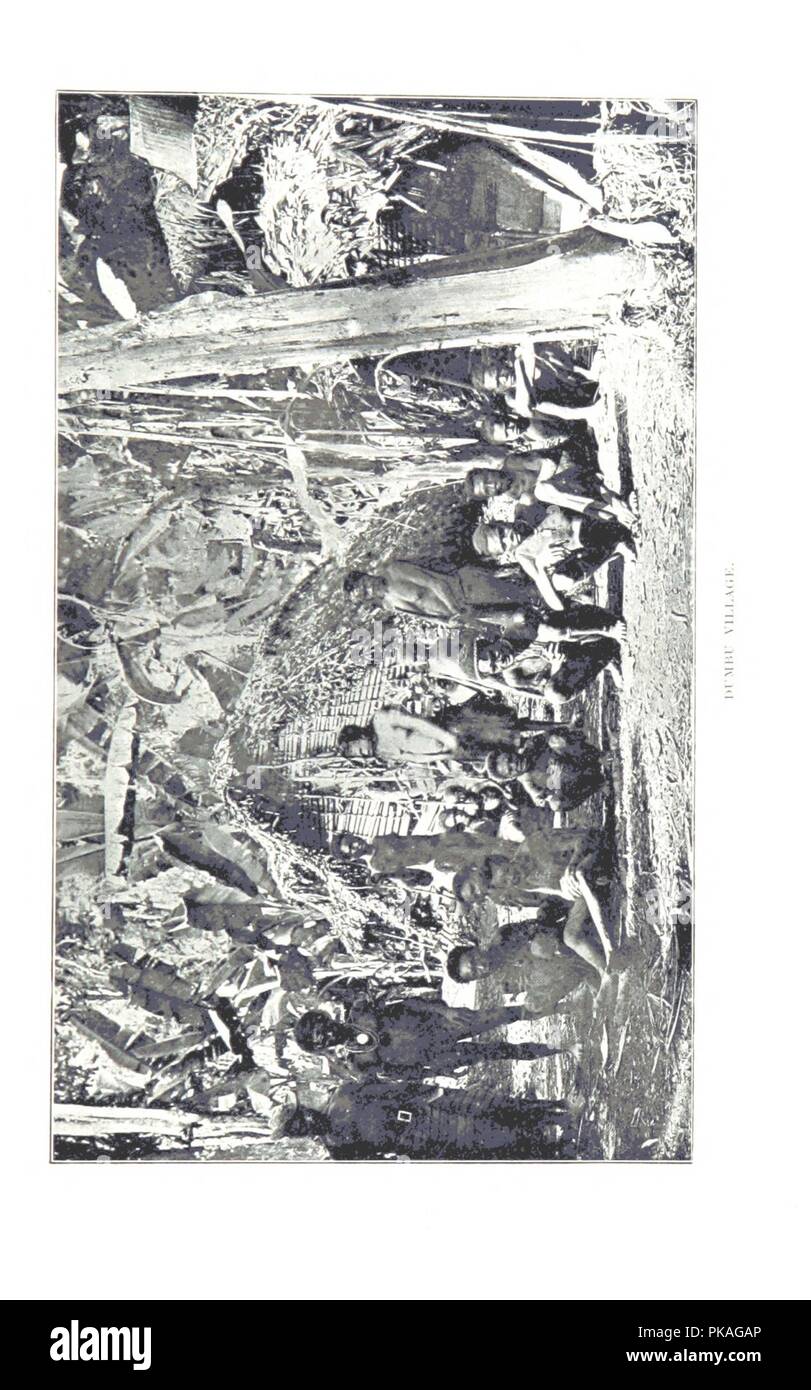 Image from page 81 of 'Through New Guinea and the Cannibal Countries ...