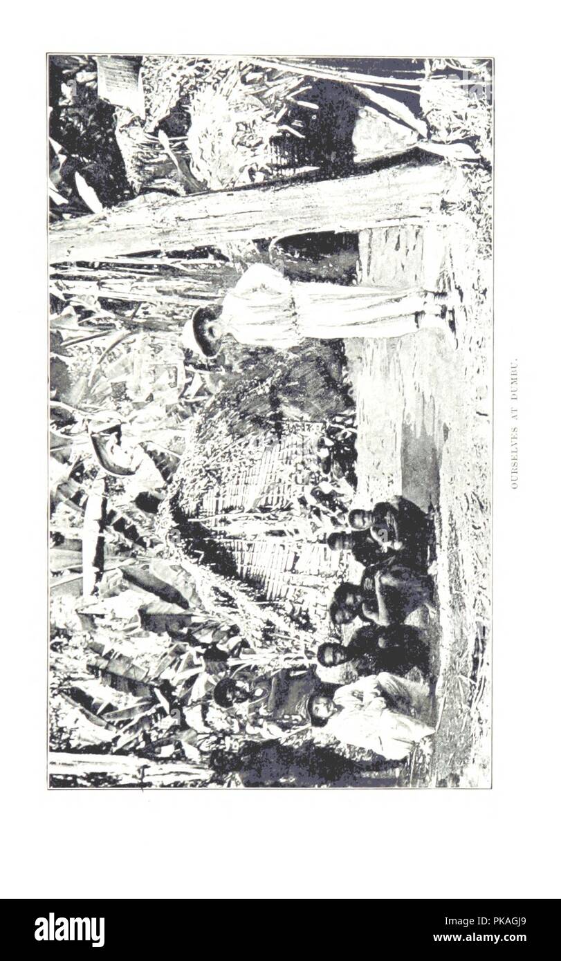 Image from page 85 of 'Through New Guinea and the Cannibal Countries ...