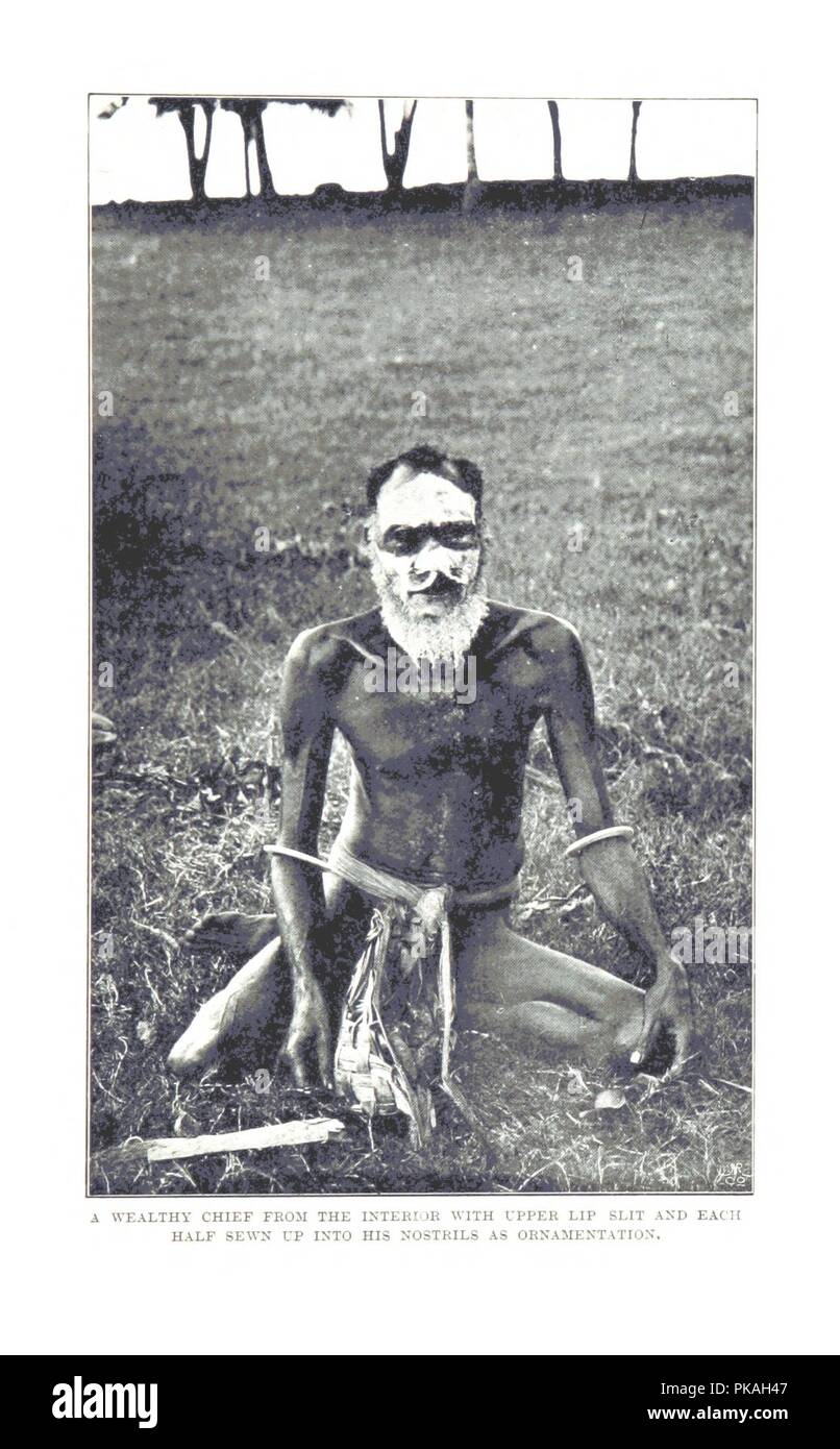 Image from page 93 of 'Through New Guinea and the Cannibal Countries ...