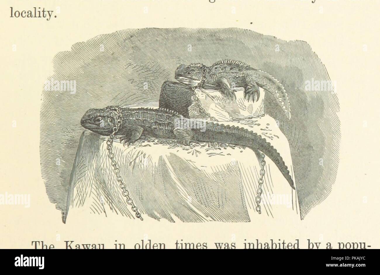 Antipodes map hi-res stock photography and images - Alamy