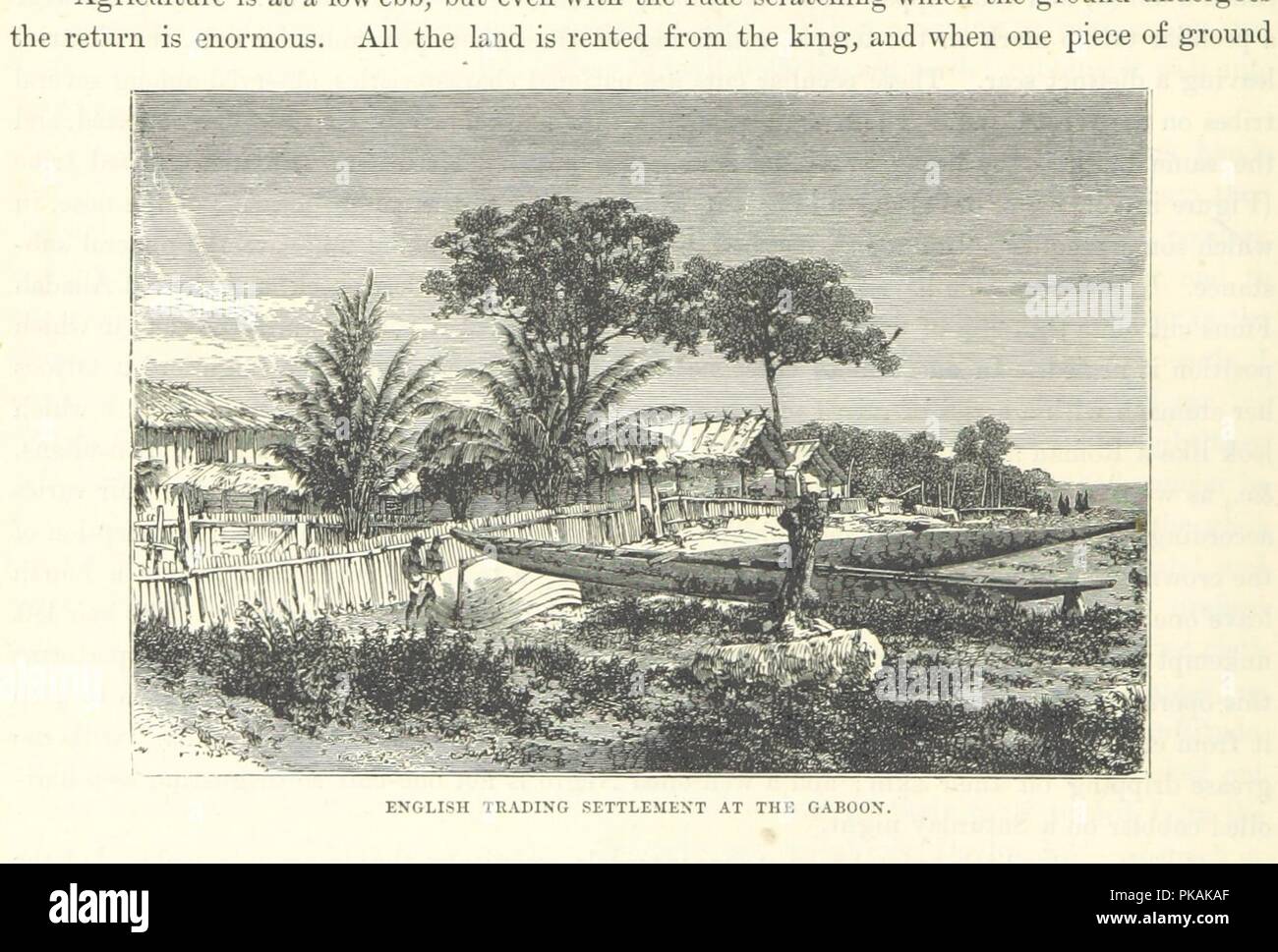 Principal varieties of mankind hi-res stock photography and images - Alamy