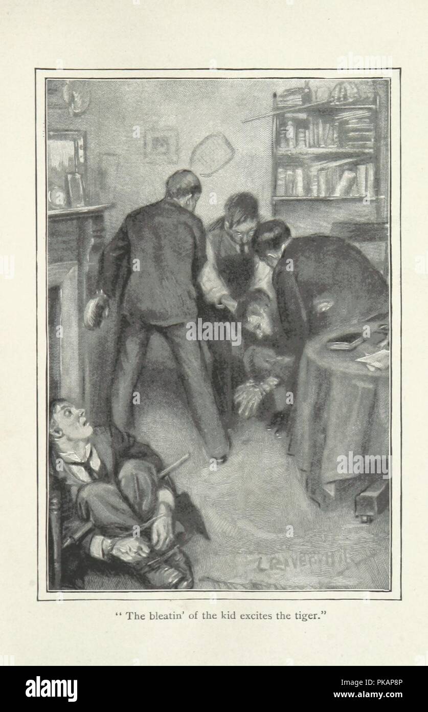 Stalky hi-res stock photography and images - Alamy