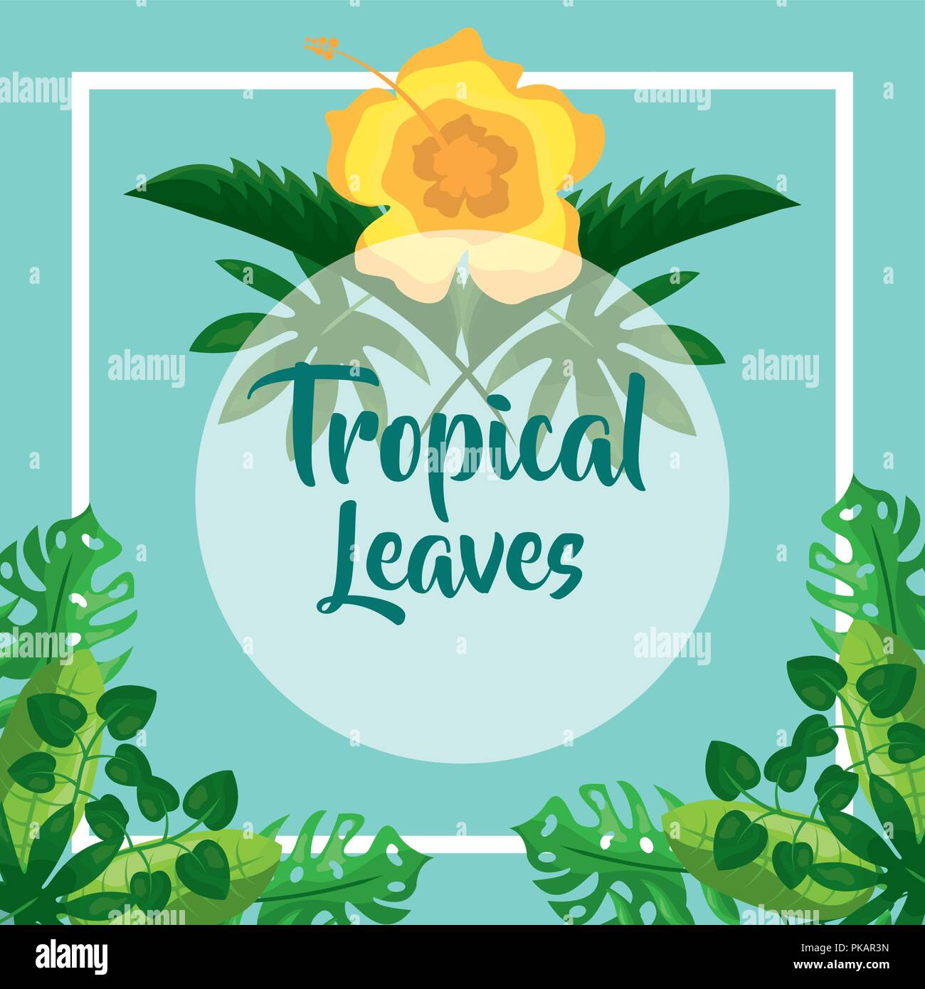 flower natural foliage exotic label tropical leaves vector illustration ...
