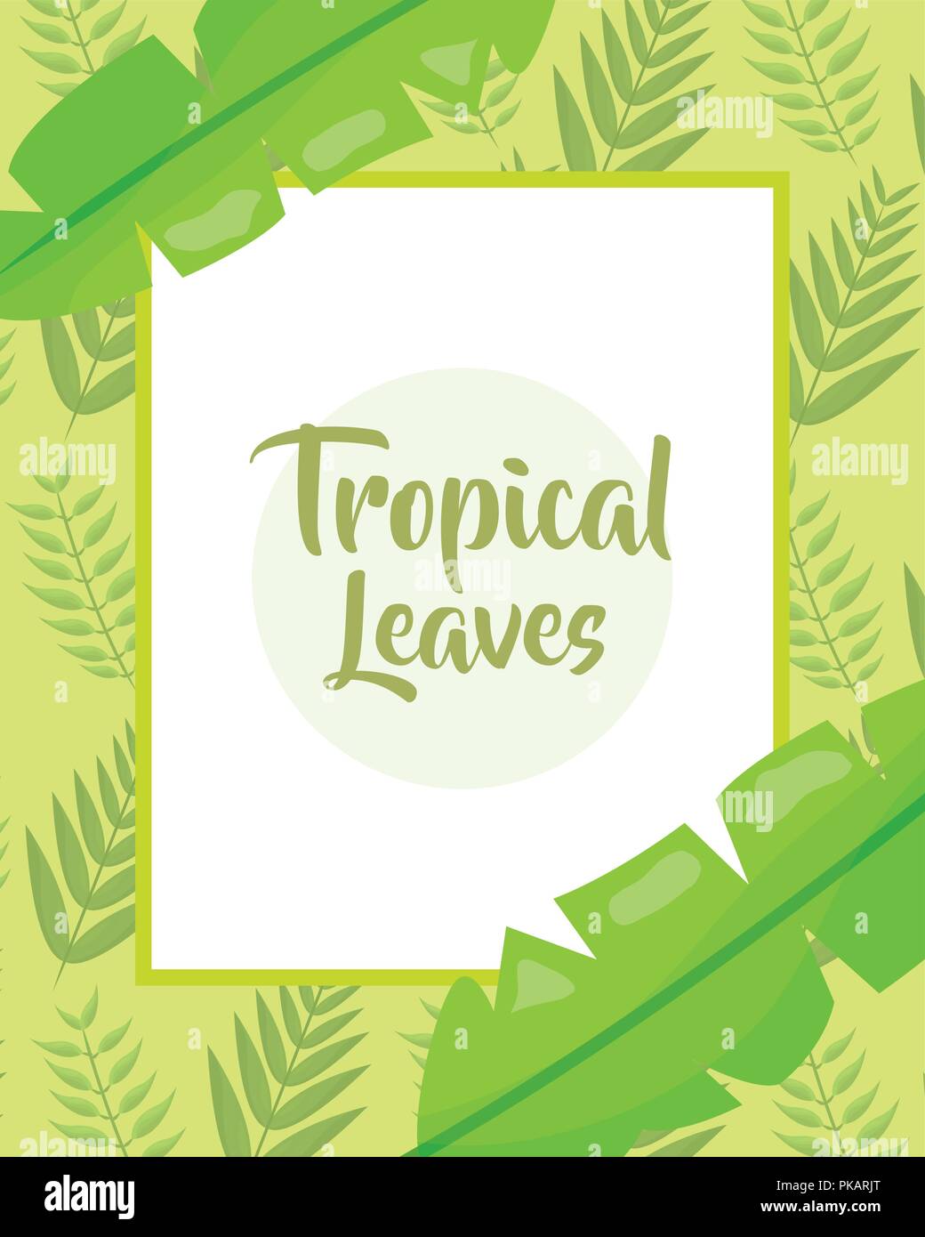 tropical leaves banner botanical jungle template vector illustration ...