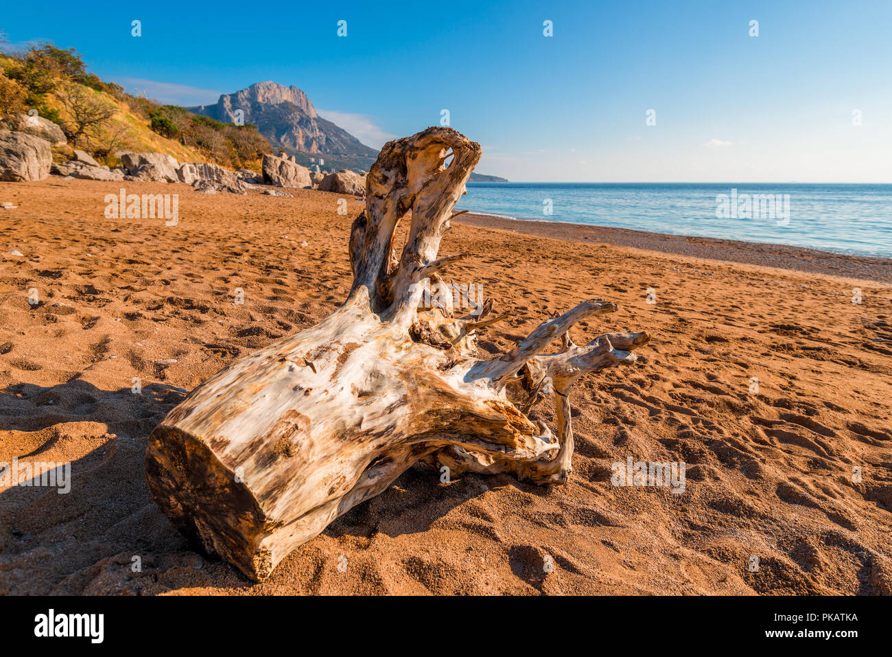 Log wood on beach hi-res stock photography and images - Alamy