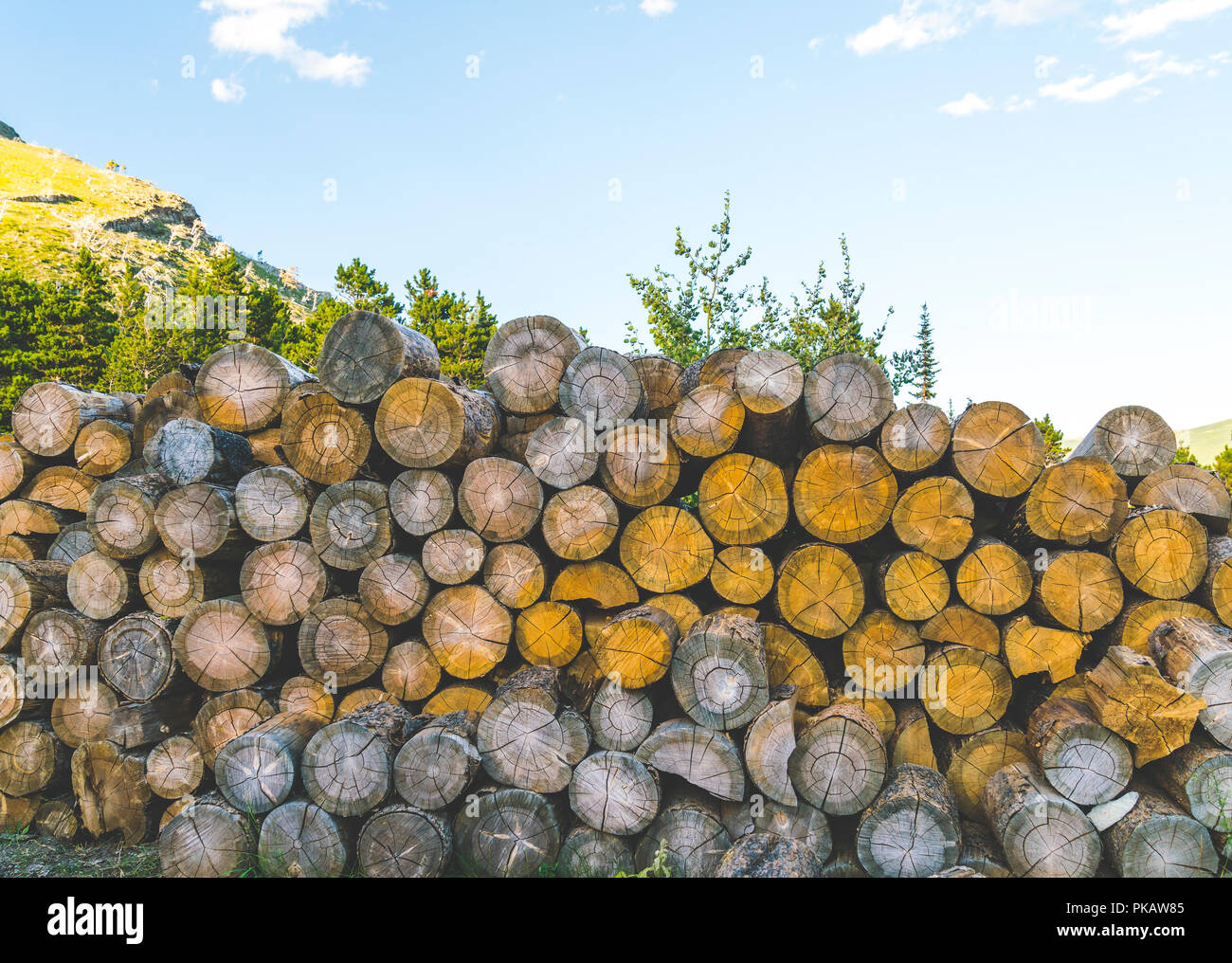 stack of log woods Stock Photo - Alamy