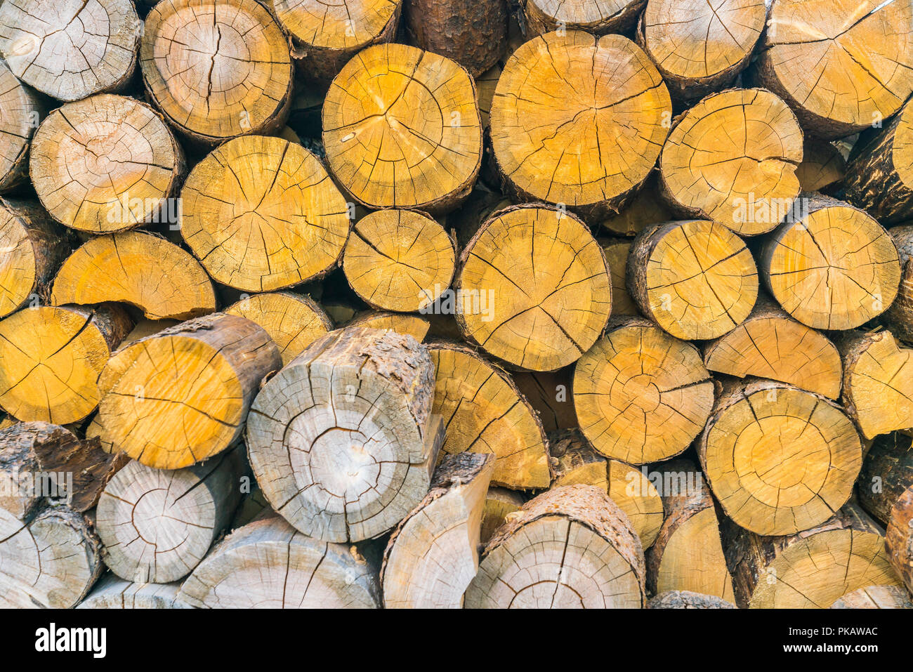 stack of log woods Stock Photo - Alamy