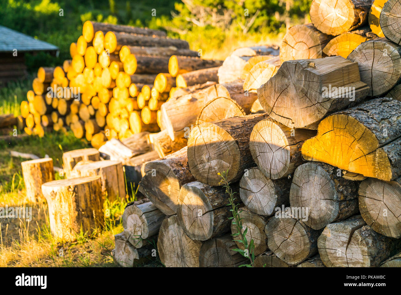 stack of log woods Stock Photo - Alamy