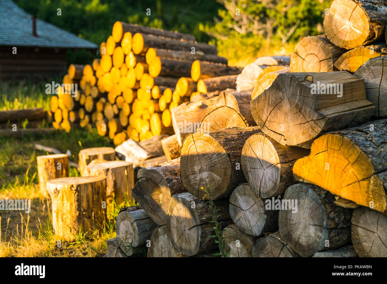 Old timber stack hi-res stock photography and images - Alamy