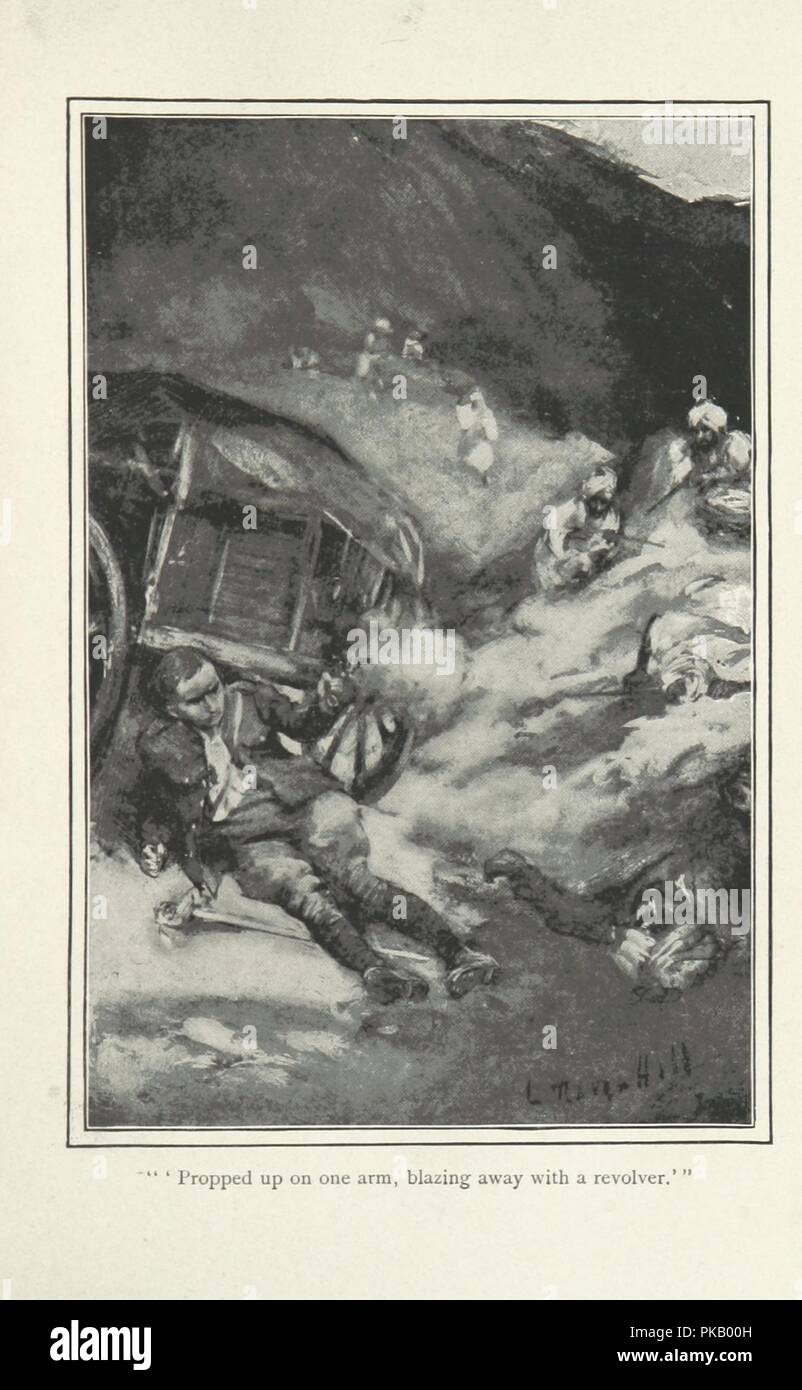 Stalky hi-res stock photography and images - Alamy