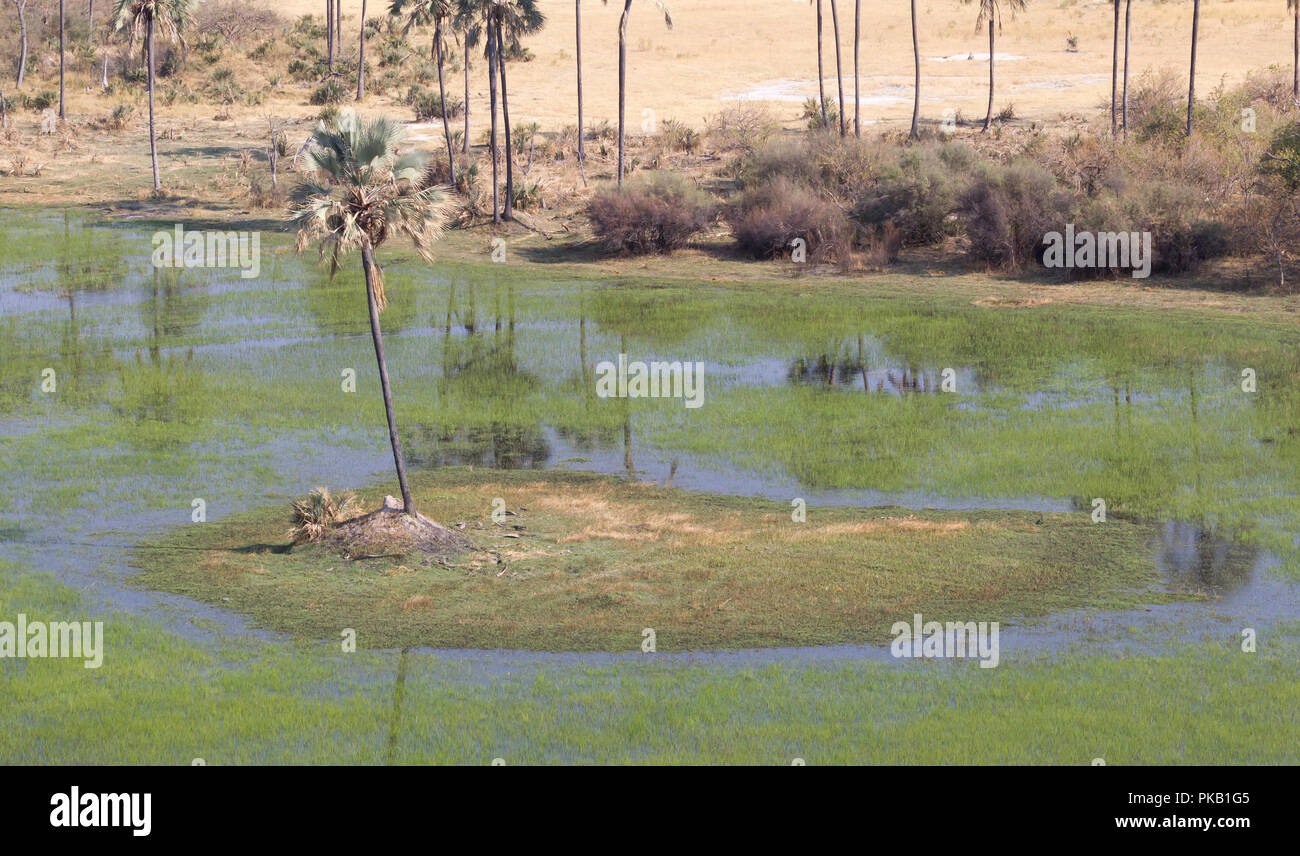 Okavango Delta aerial view, Botswana's stunning landscape Stock Photo ...