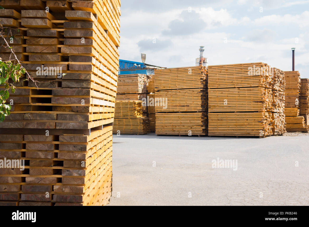 Wood processing. Joinery work. wooden furniture. Wood timber ...