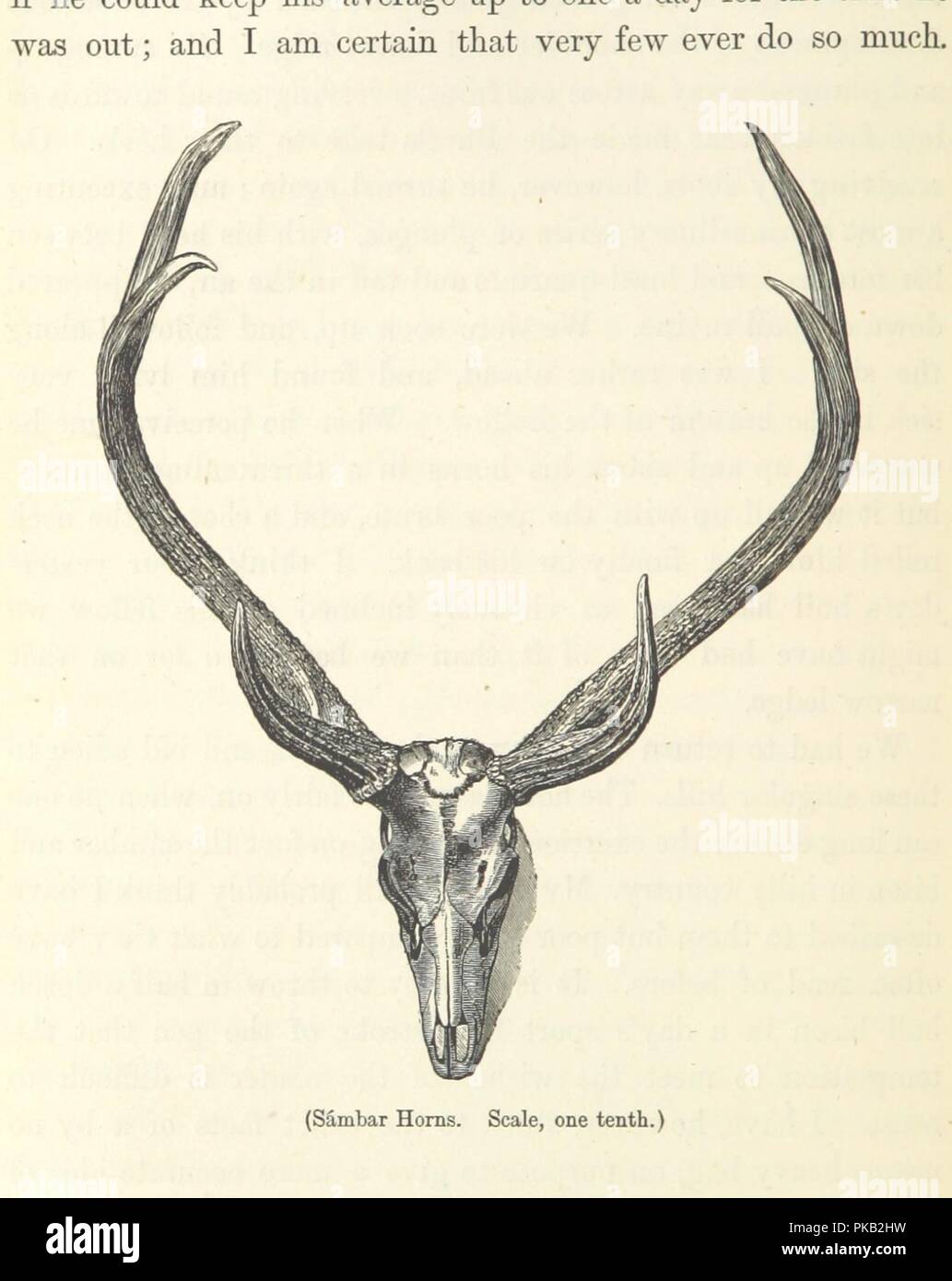 Image from page 278 of 'The Highlands of Central India notes on their ...