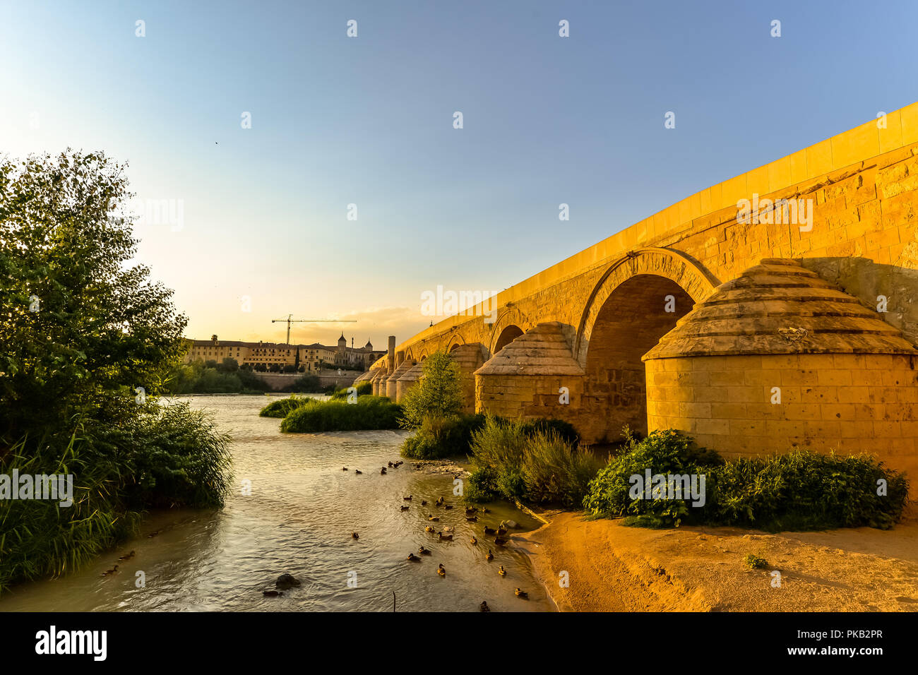 The Roman bridge in Cordoba - Spain Stock Photo - Alamy