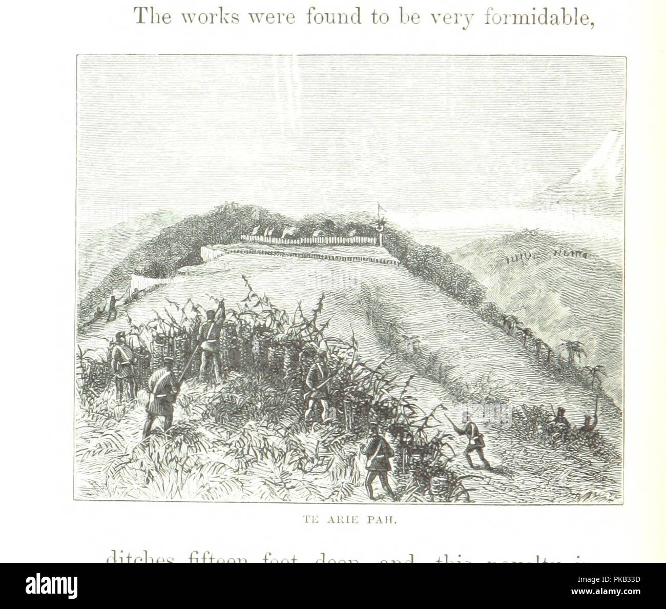 Maori war hi-res stock photography and images - Alamy