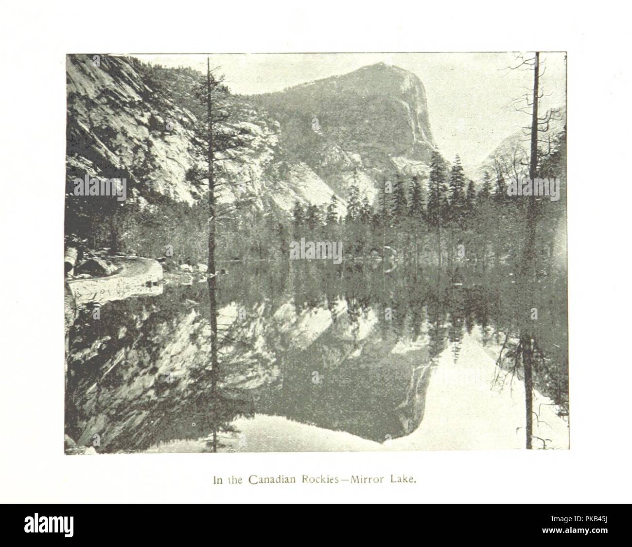 Eminent Cut Out Stock Images & Pictures - Alamy