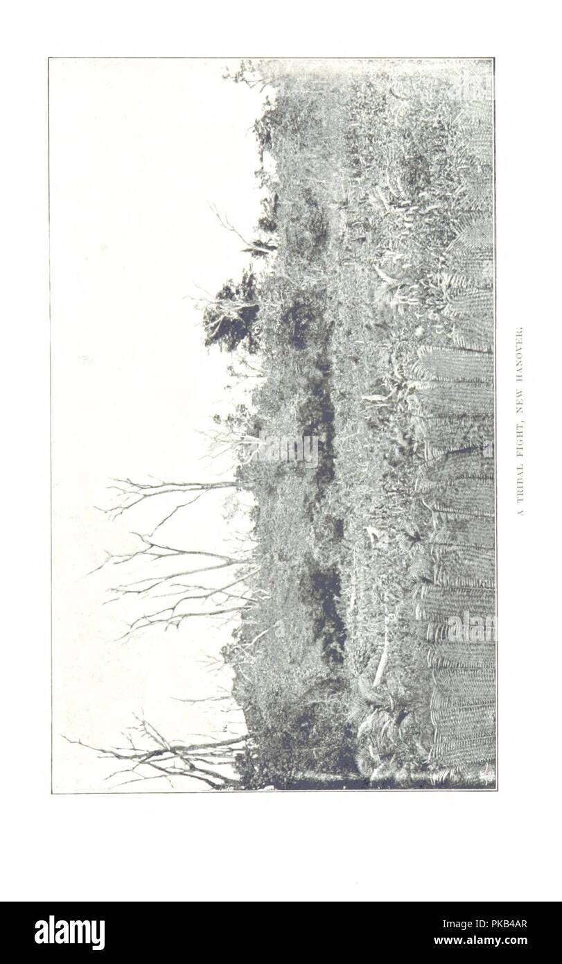 Image from page 315 of 'Through New Guinea and the Cannibal Countries ...