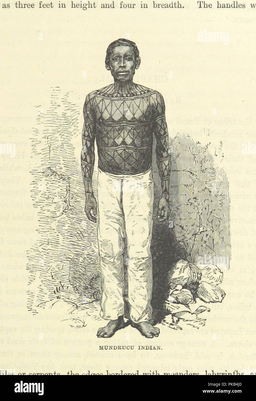 Image from page 321 of 'The Races of Mankind being a popular ...