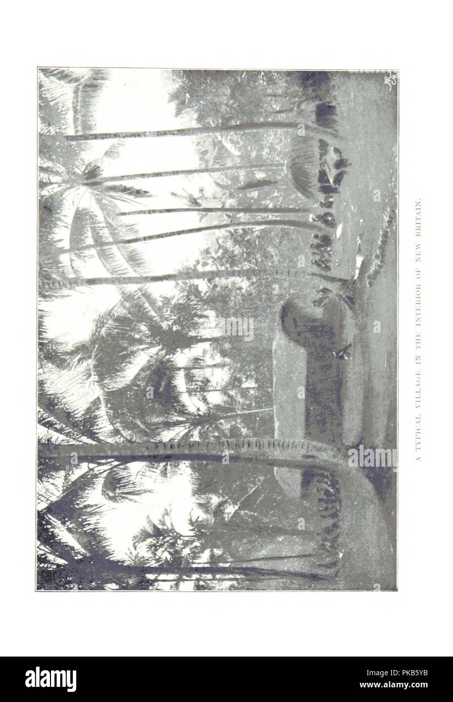 Image from page 353 of 'Through New Guinea and the Cannibal Countries ...