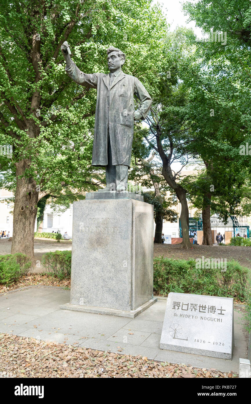 Statue of Hideyo Noguchi ( 1876 – 1928 ) Japanese bacteriologist, Ueno ...