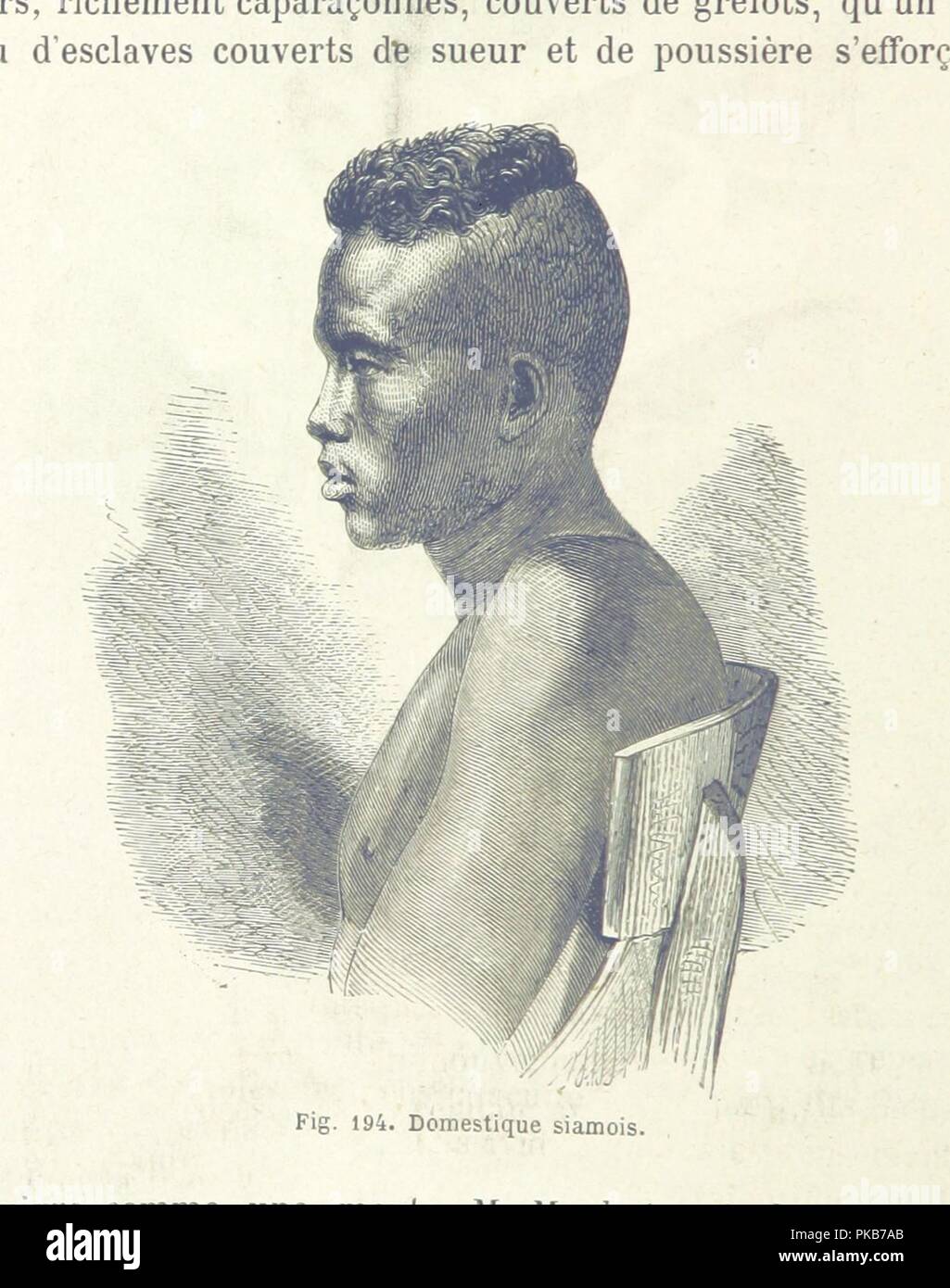 Les races humaines hi-res stock photography and images - Alamy