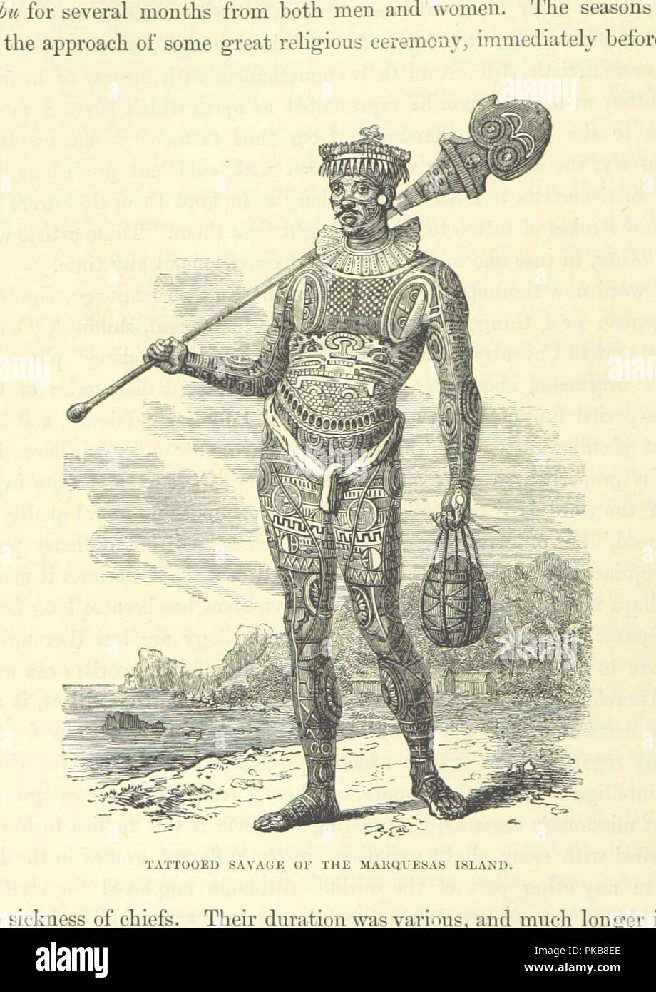 Principal varieties of mankind hi-res stock photography and images - Alamy