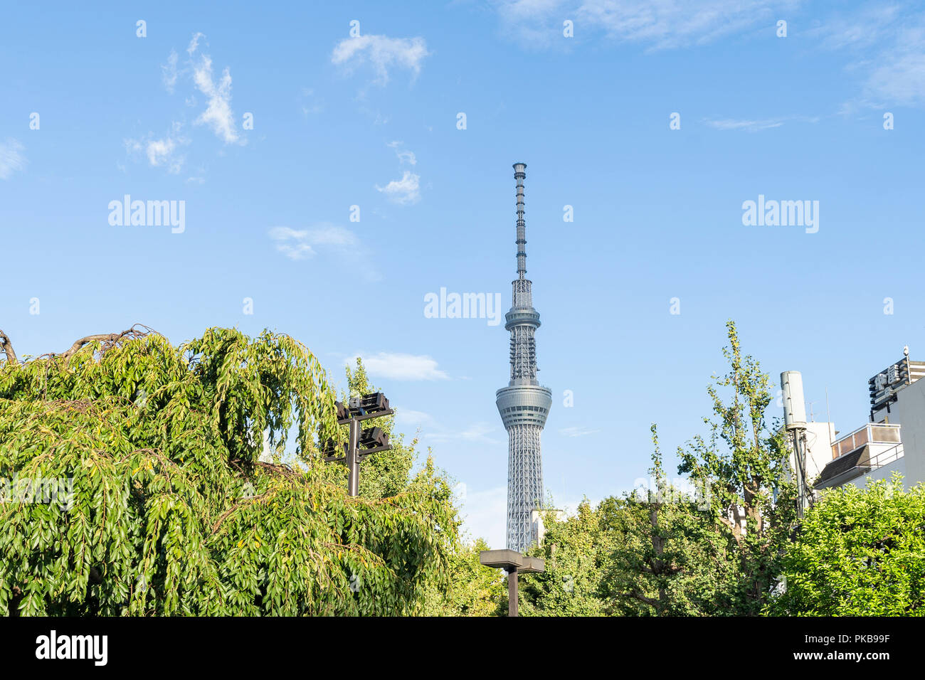 Tokyo Skytree view from Sensoji Temple, Asakusa, Taito-Ku, Tokyo, Japan Stock Photo - Alamy