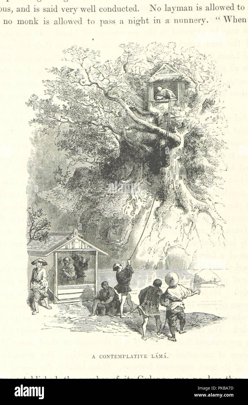 Principal varieties of mankind hi-res stock photography and images - Alamy