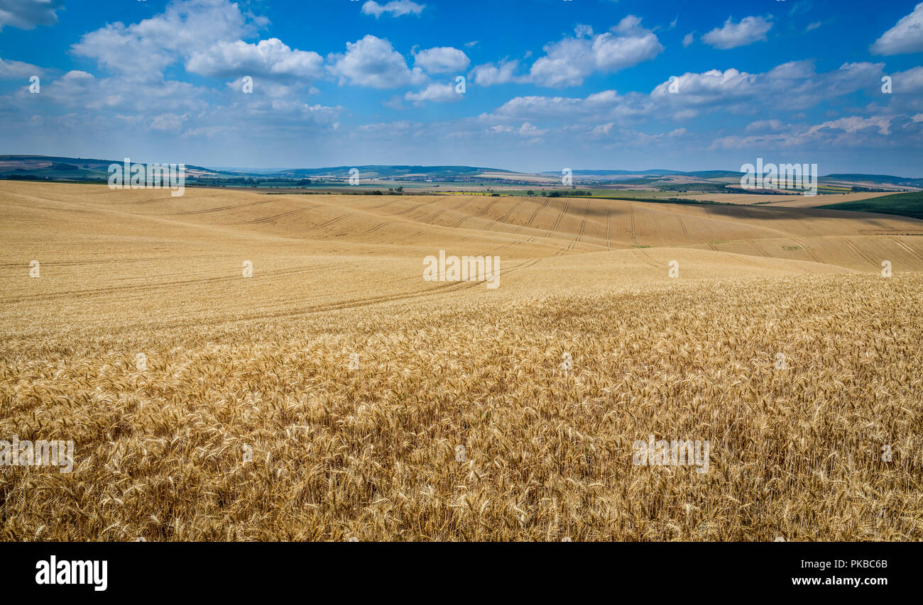 Moravia tuscany landscape hi-res stock photography and images - Alamy