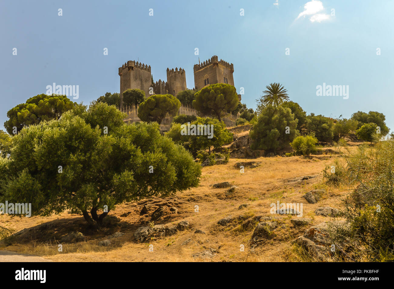 The castle in Almodovar del Rio - Cordoba, Spain Stock Photo - Alamy